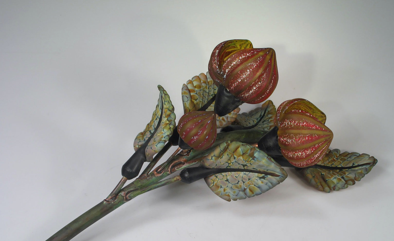 Home › Red Tabletop Seed Pods